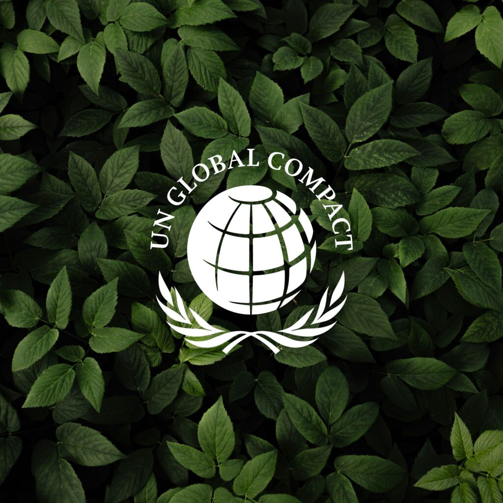 2112 joins the UN Global Compact - 2112 Comms